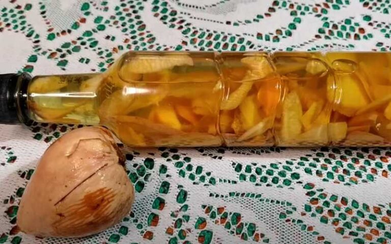 Garrafada de Caroço de Abacate no Vinho Branco Seco: Um Sabor Único e ...